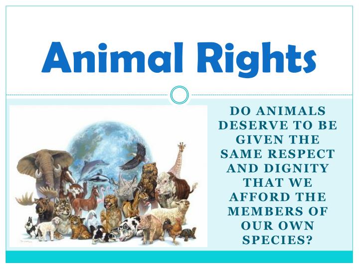 Animals Right to Dignity and Fair treatment with respect to ...
