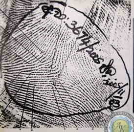 Cross-Examination based on Handwriting