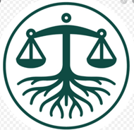 Pulp Mills Case: Argentina versus Uruguay - Case Analysis