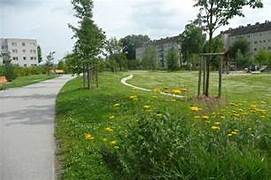 Case Analysis: M.C.Mehta v/s UOI: Oleum Gas Leak Case