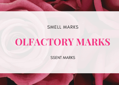 Olfactory Marks (Smell Marks)