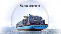 Warranties in Marine Insurance